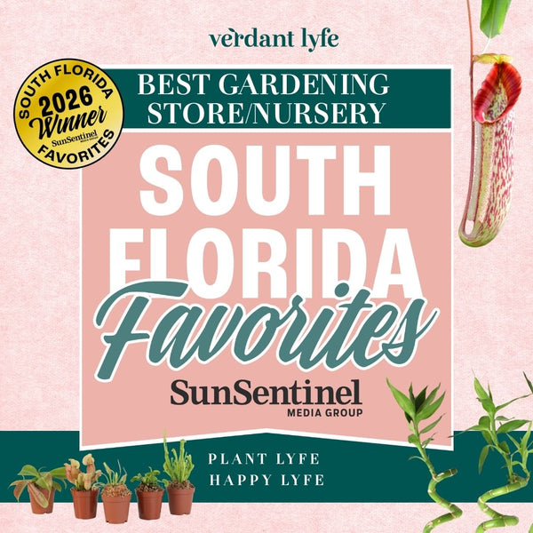 Verdant Lyfe Wins GOLD for Best Gardening Store/Nursery in South Flori