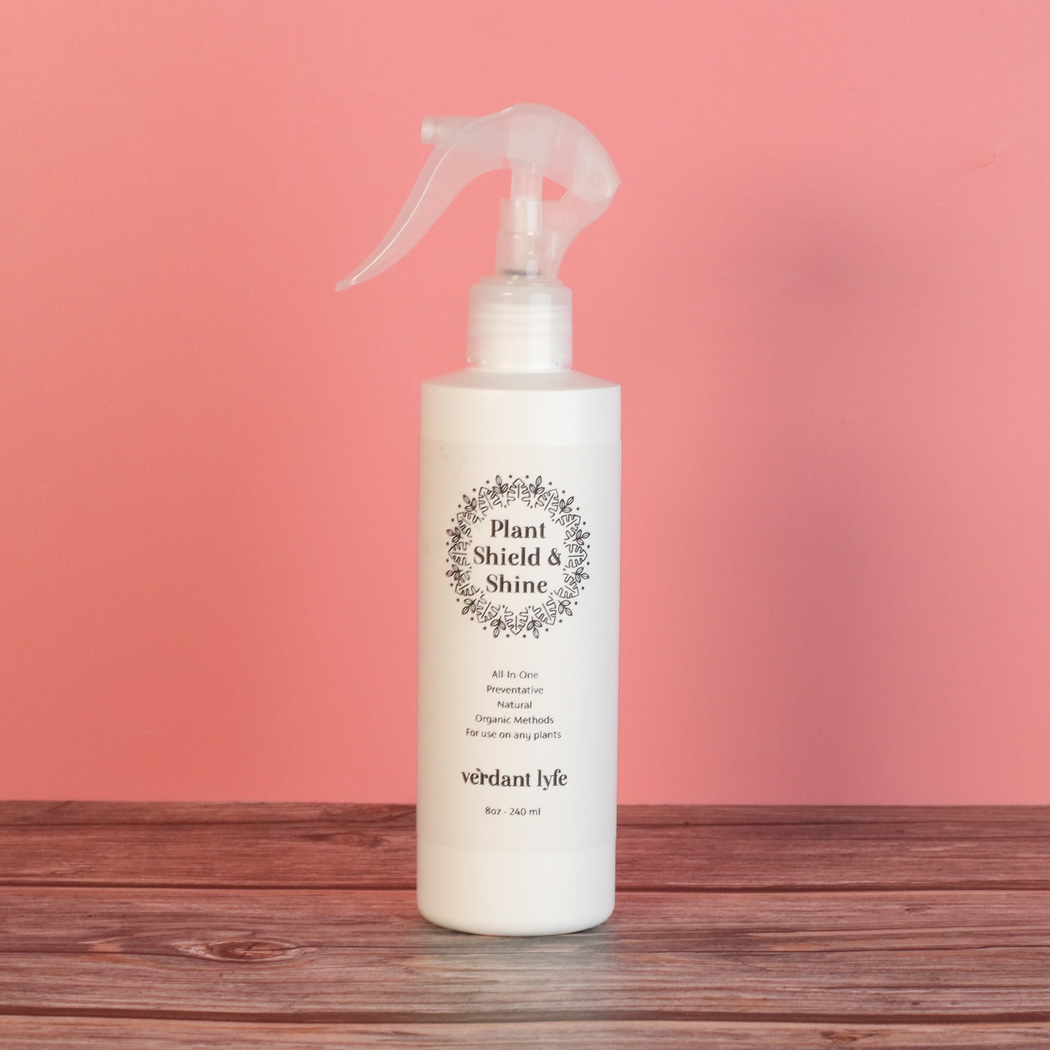 Home Plant Delivery | Plants Delivered to Your Door – Verdant Lyfe