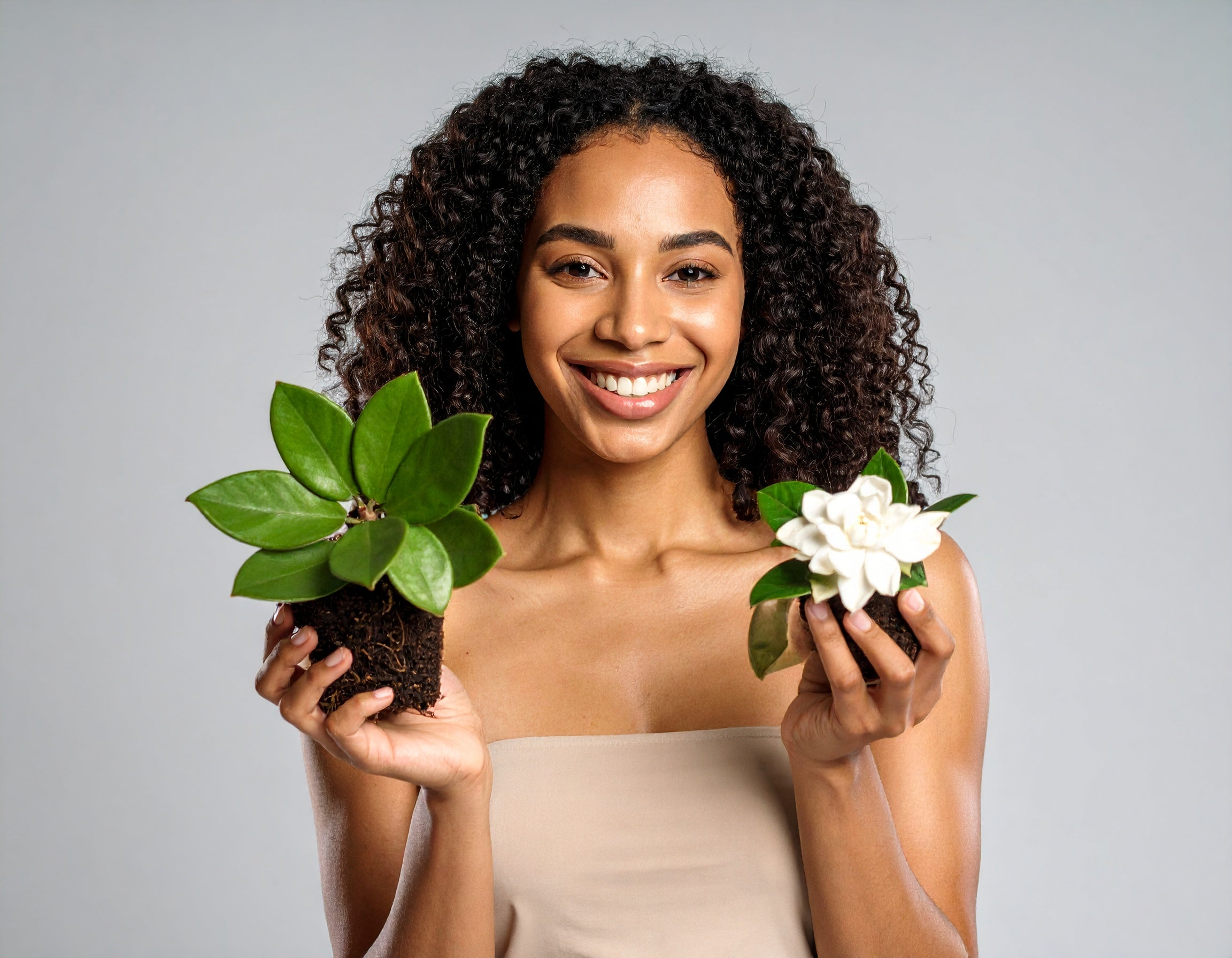 House Plants to Brighten Your Home – Ships Nationwide – Verdant Lyfe