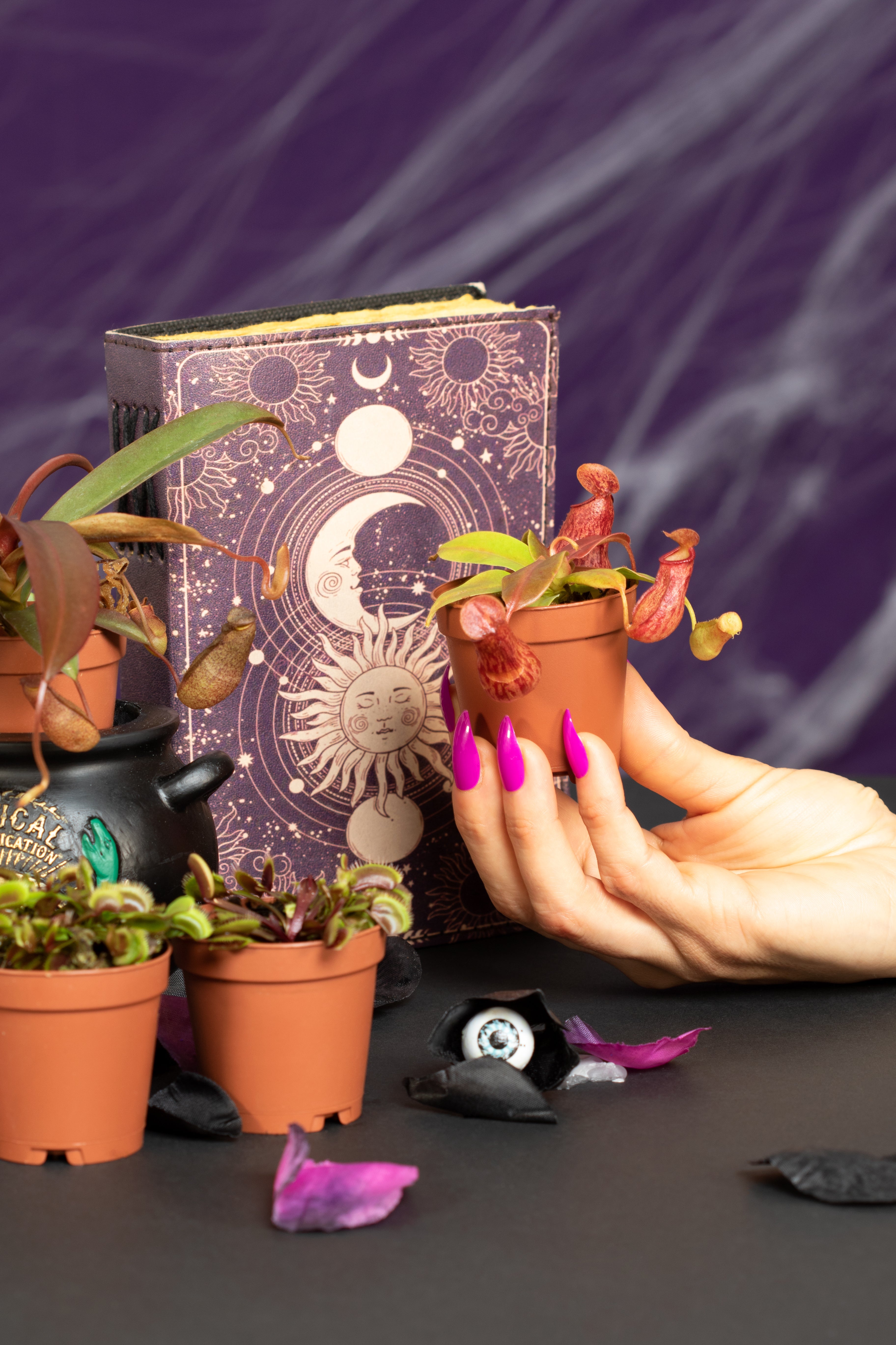 Spooky Plants – Verdant Lyfe