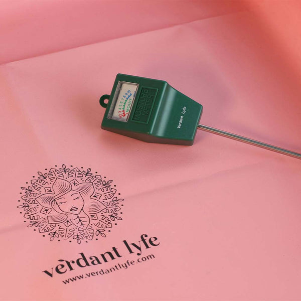 Lyfe TLC Bundle - Verdant Lyfe