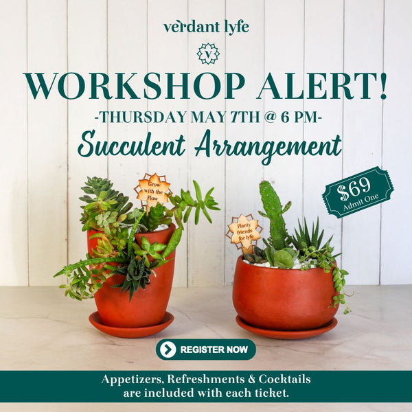 Workshops - Verdant Lyfe
