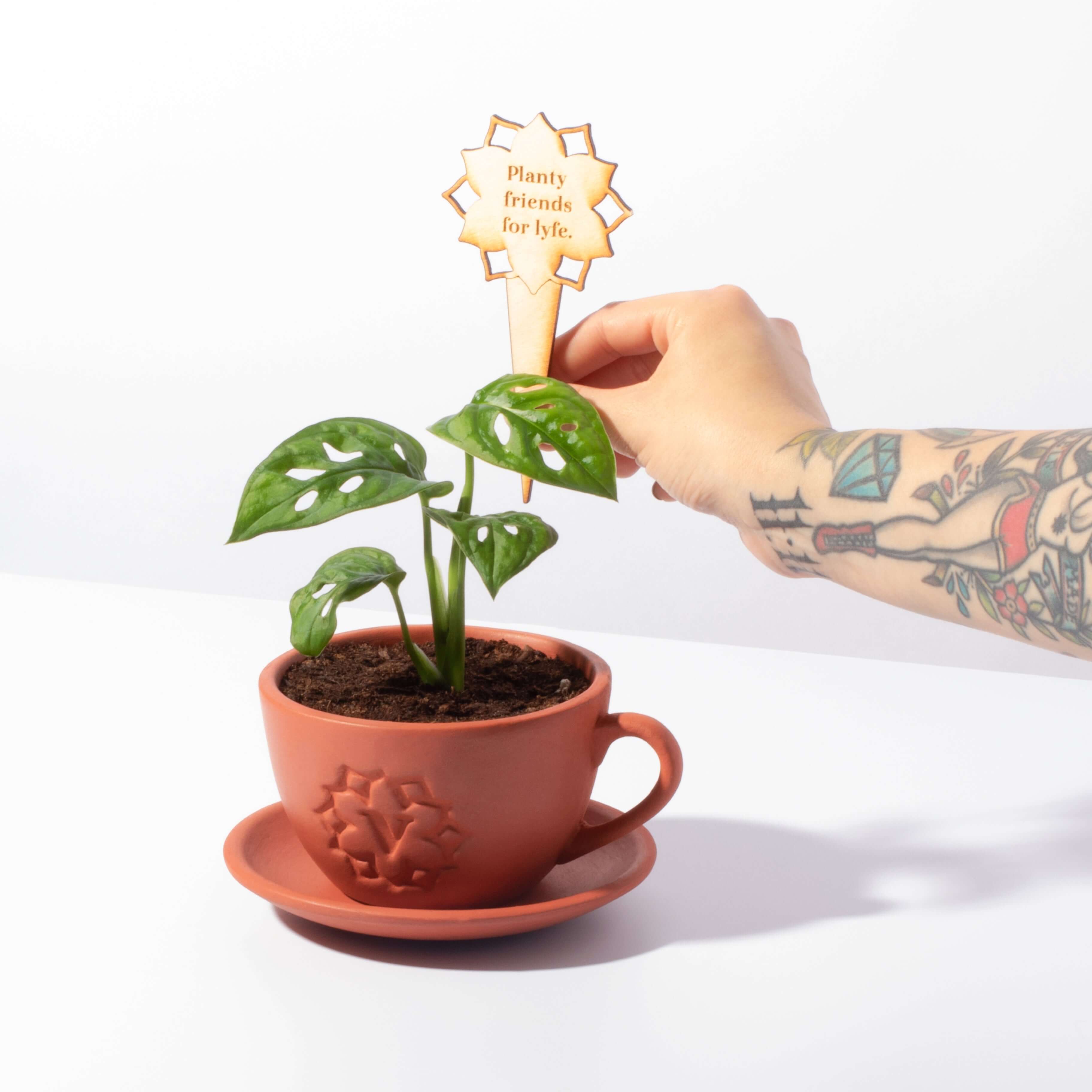 Plant Message Stakes - Add On Item – Verdant Lyfe